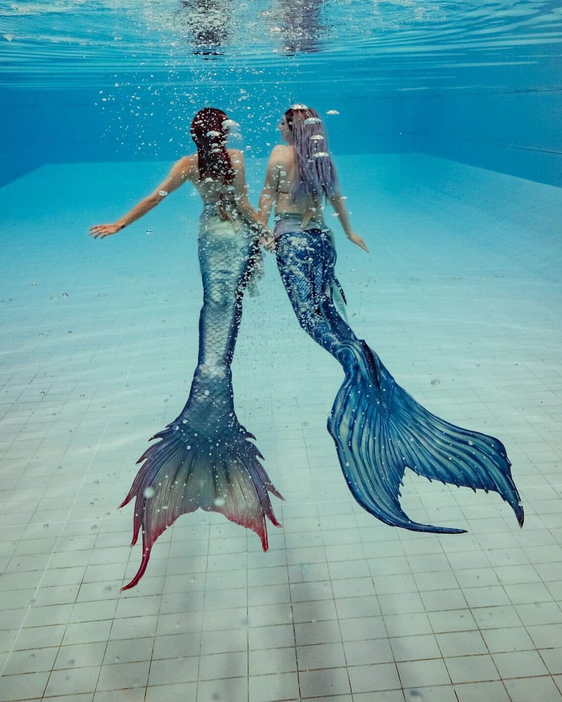 Mermaids - WA Mermaids